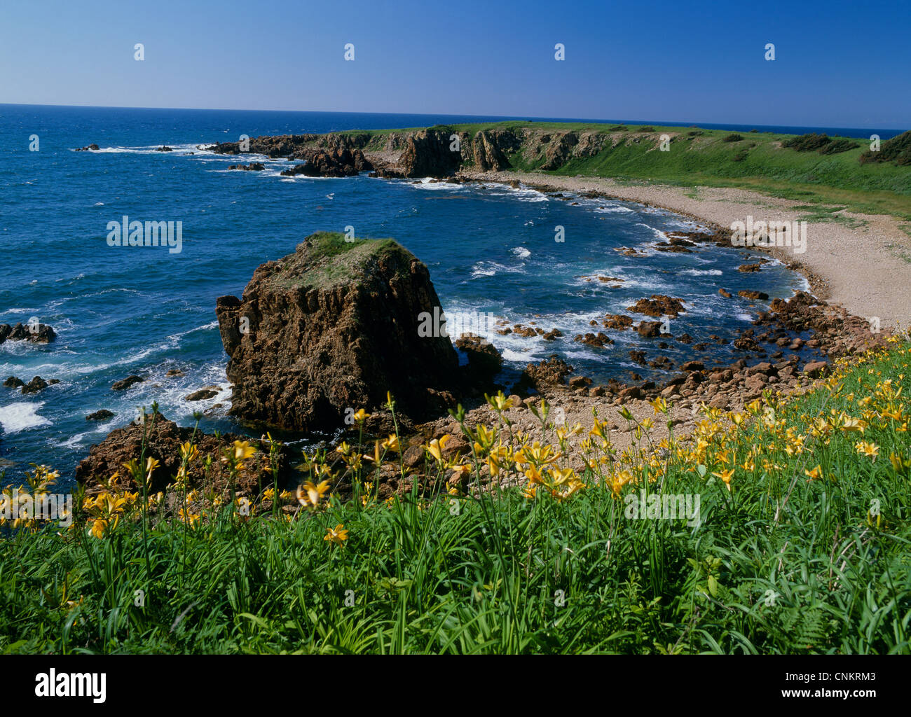 Fukaura High Resolution Stock Photography and Images - Alamy