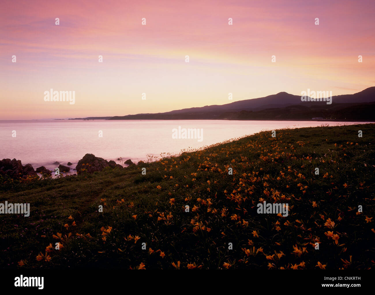 Fukaura hi-res stock photography and images - Alamy