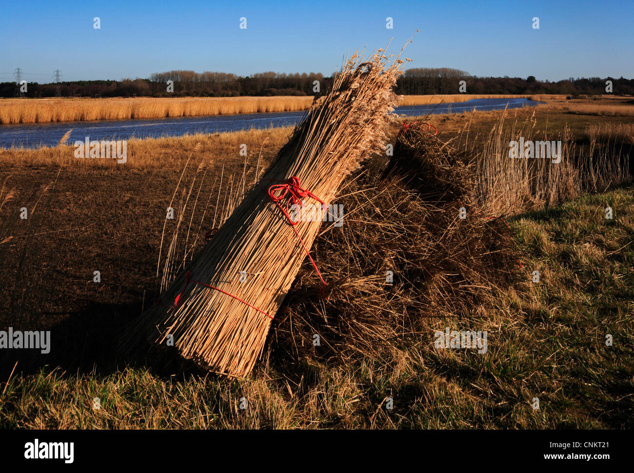 Thatching uk harvest norfolk hi-res stock photography and images - Alamy