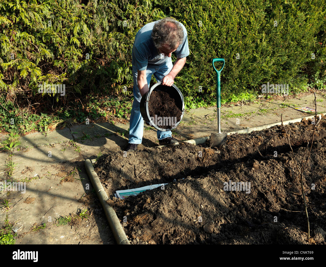 Potatoes rotted hi-res stock photography and images - Alamy