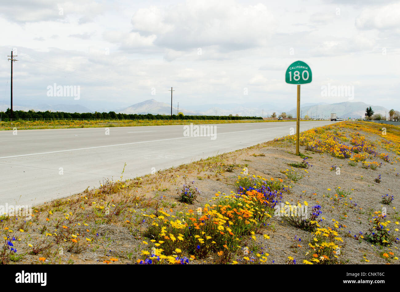 Springtime wild flowers along highway 180 east of Fresno, approaching ...