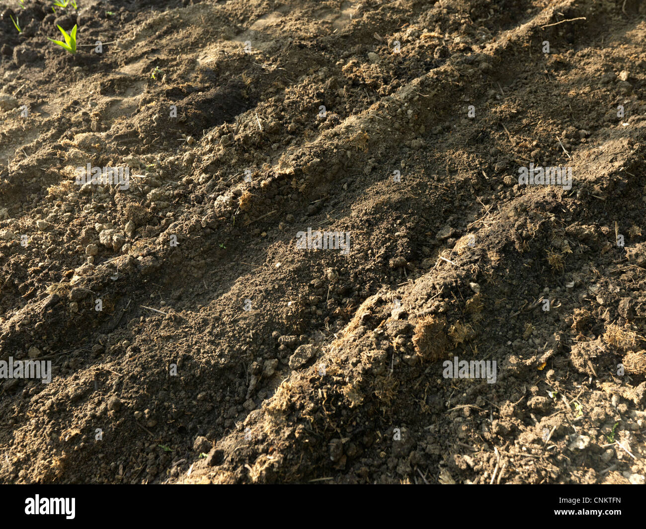Covered Potato Trenches England Stock Photo - Alamy