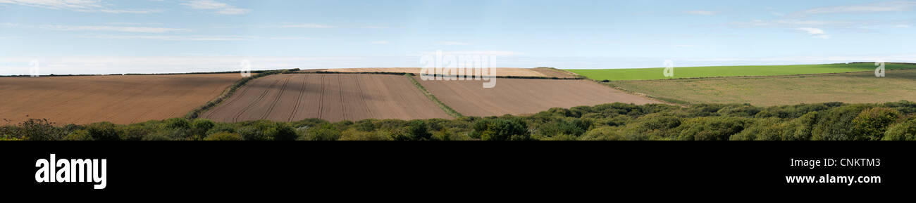 Cornwall panorama fields hi-res stock photography and images - Alamy