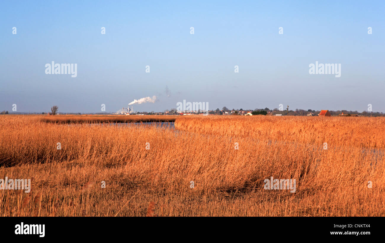 A view over the River Waveney and Haddiscoe Marshes on the Norfolk ...
