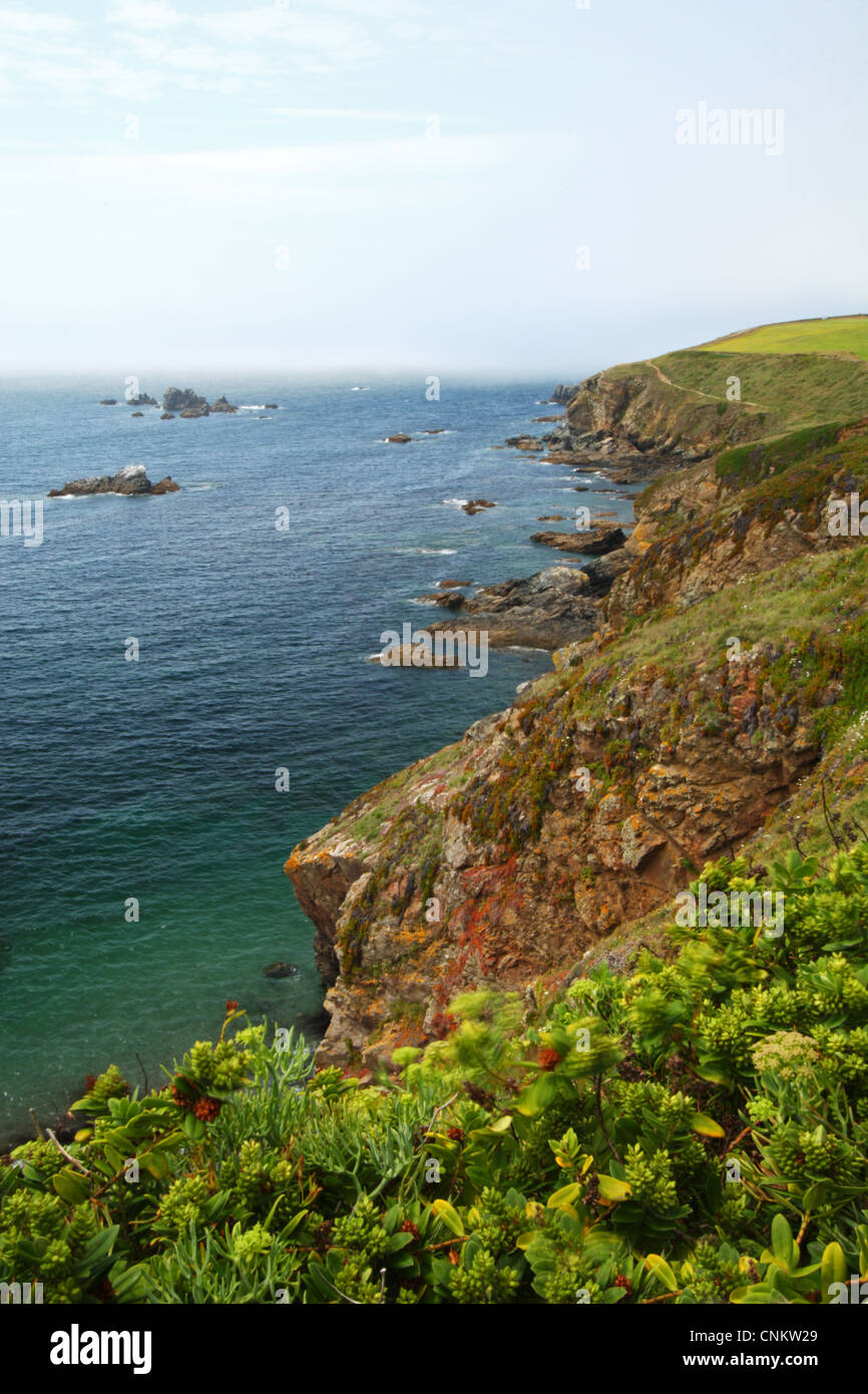 Lizard Point , Cornwall Stock Photo - Alamy