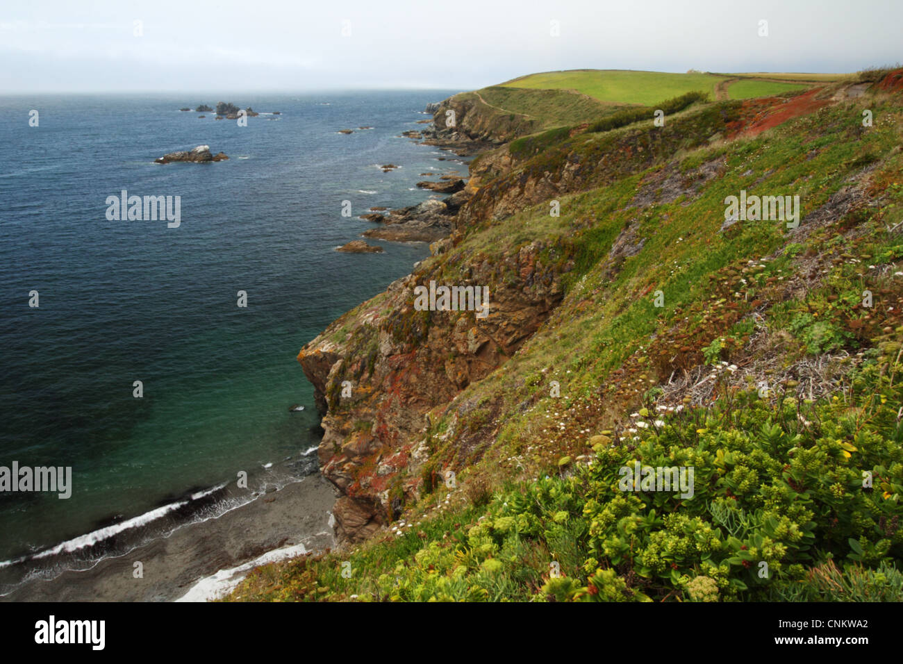 Lizard Point , Cornwall Stock Photo - Alamy