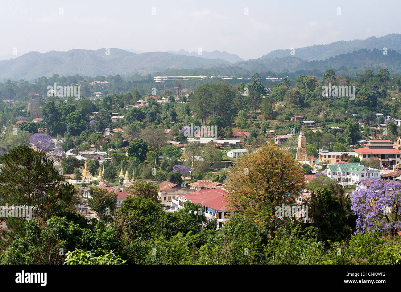 Kalaw hi-res stock photography and images - Alamy