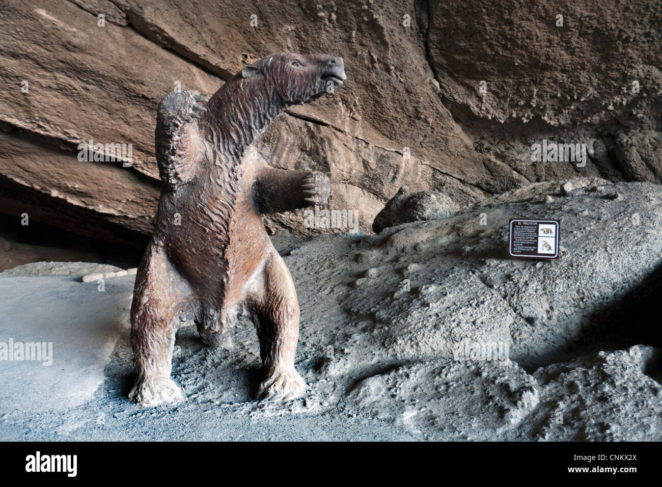 Mylodon hi-res stock photography and images - Alamy