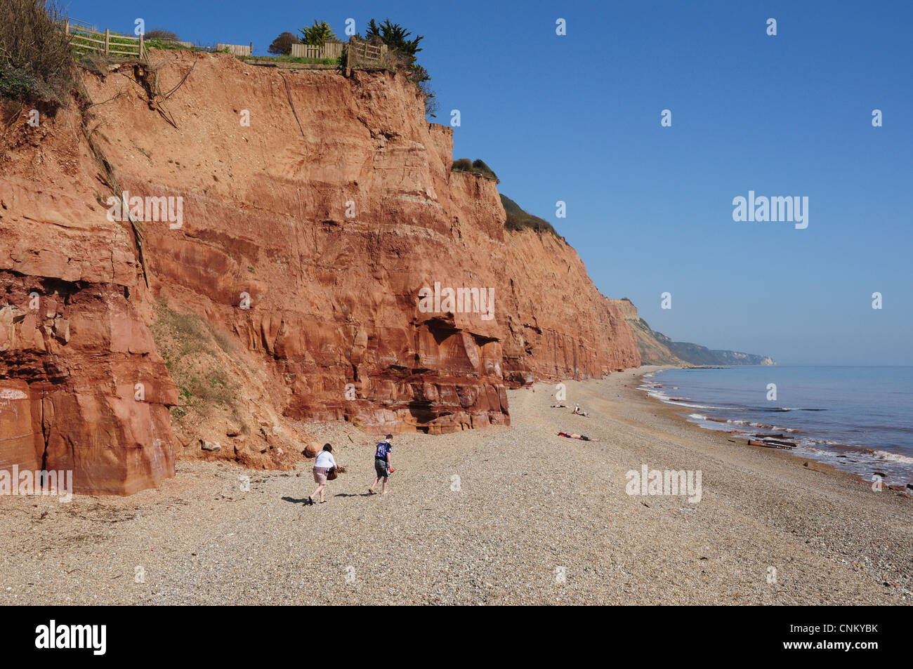 Sandstone cliffs on the Jurassic Coast, Sidmouth, Devon, England, UK ...