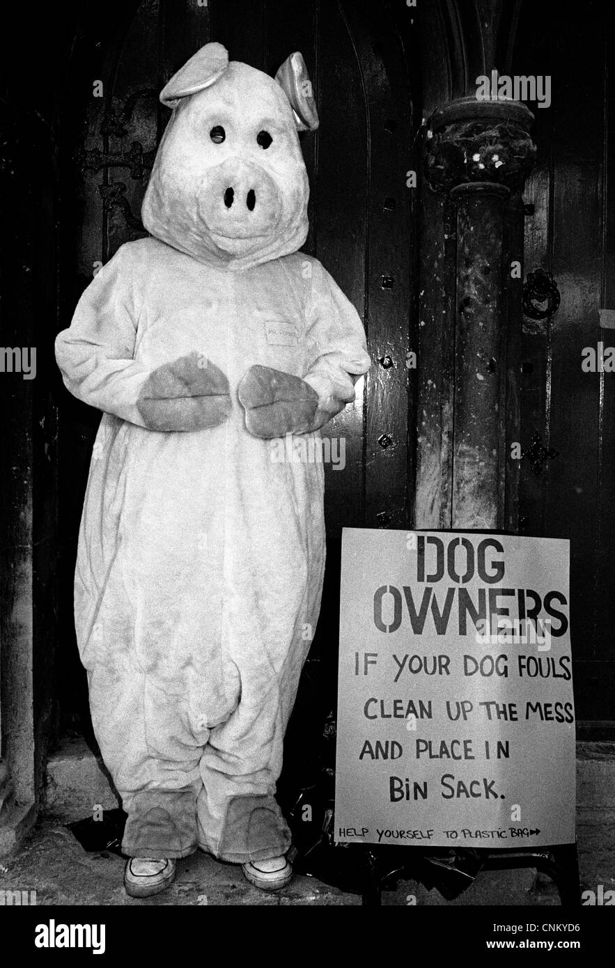 A person in a pig costume Stock Photo - Alamy