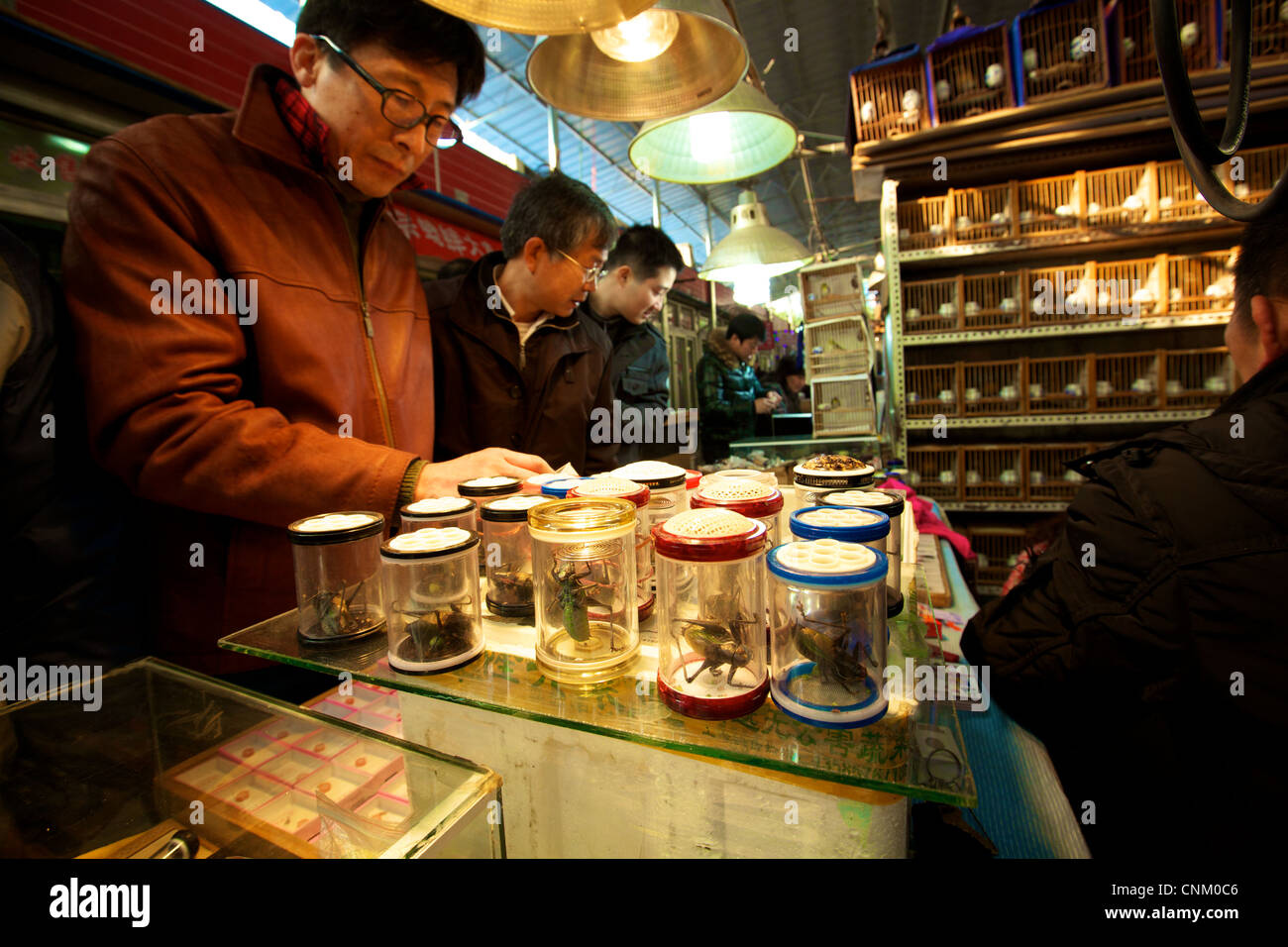 The grasshopper shop hi-res stock photography and images - Alamy