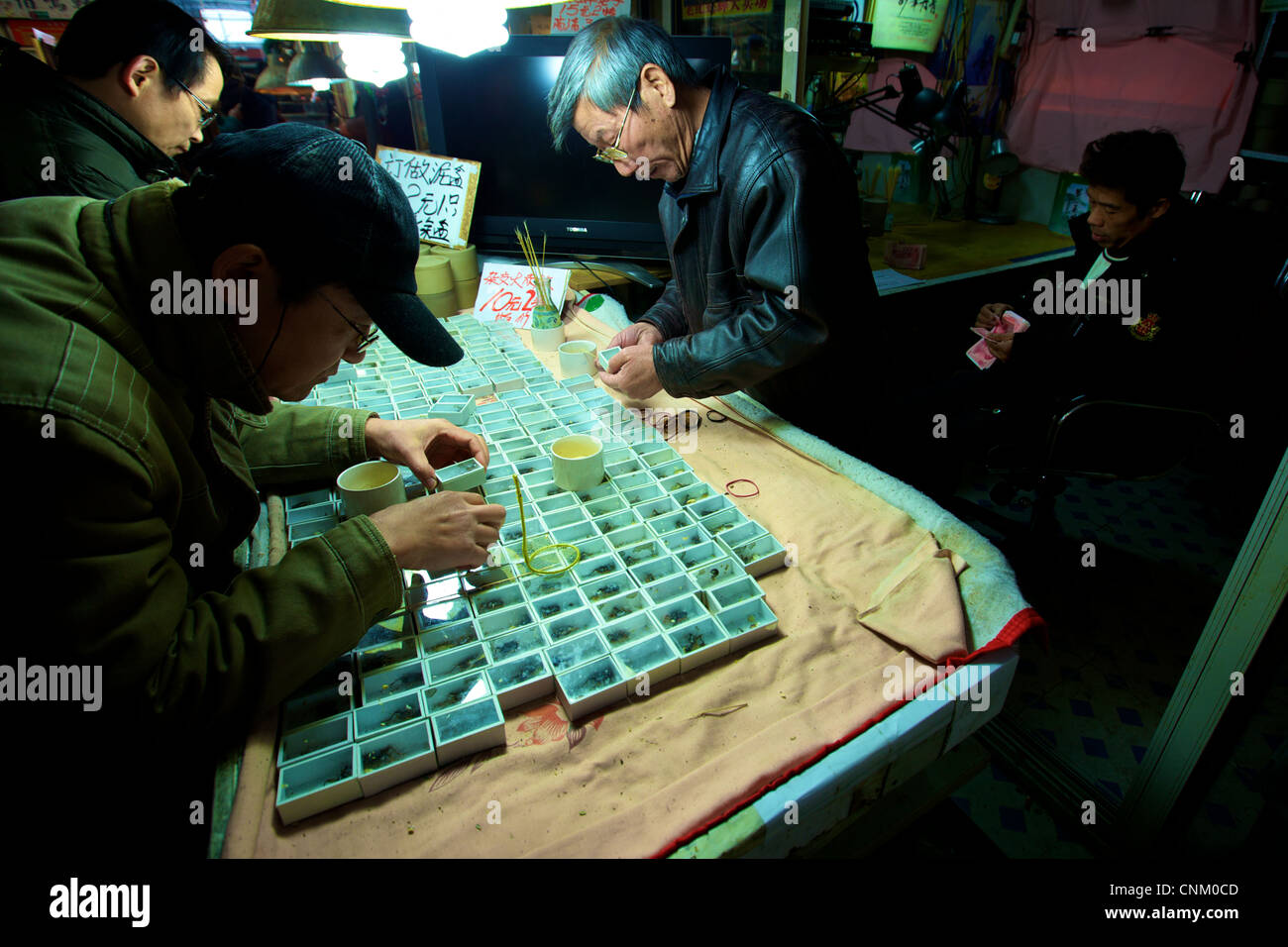 The grasshopper shop hi-res stock photography and images - Alamy