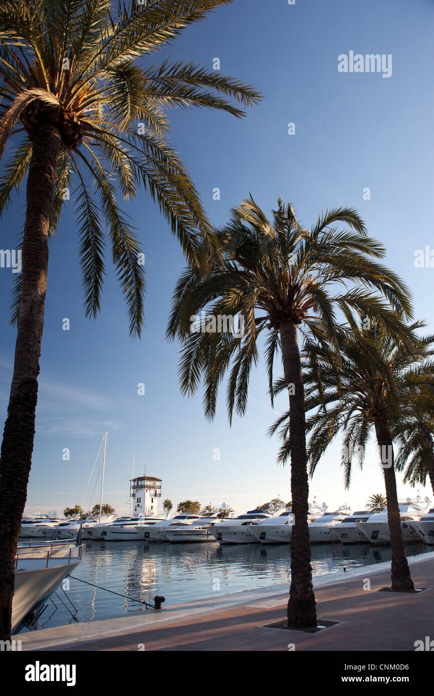 Puerto portals hi-res stock photography and images - Alamy