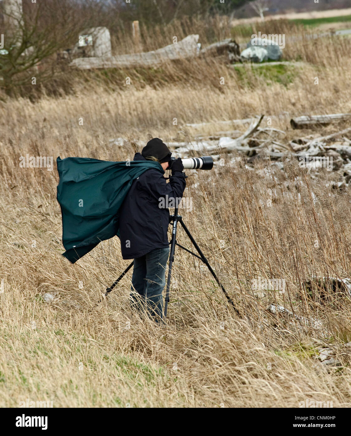 Wind photographer hi-res stock photography and images - Alamy