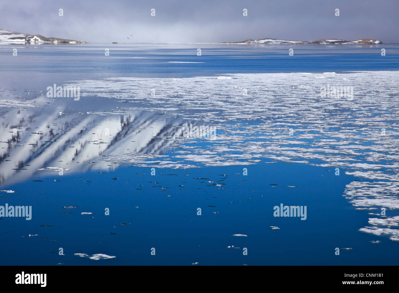 Arctic sea ice in summer sunshine, Liefdefjorden, summer, Spitzbergen ...