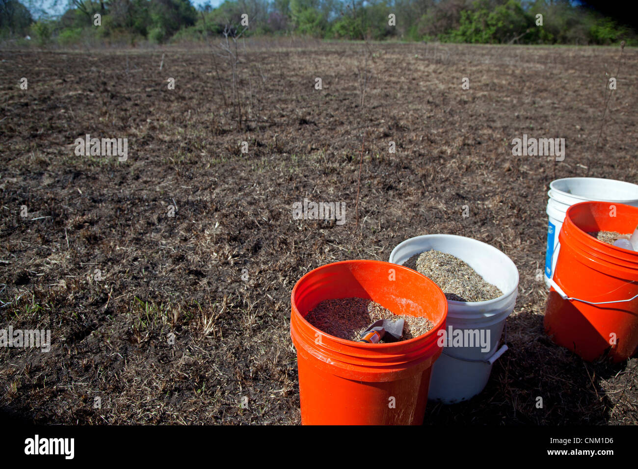 Buckets of native plant seeds for restoration of native prairie after ...
