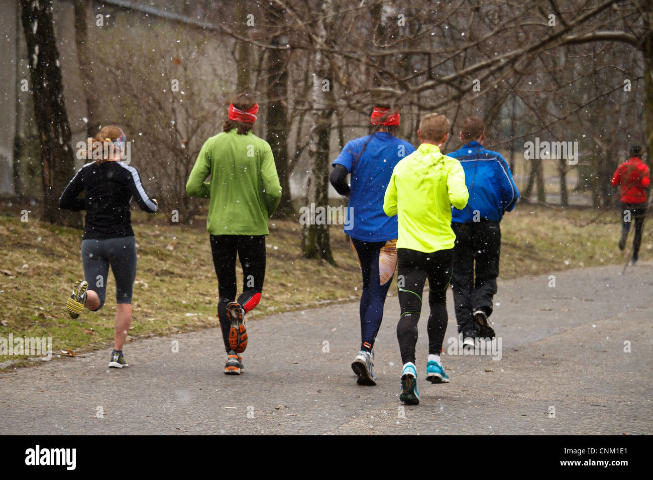 Run park winter hi-res stock photography and images - Alamy