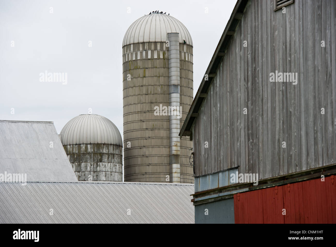 Tops of two silos between peaks of roofs on a farm Stock Photo - Alamy