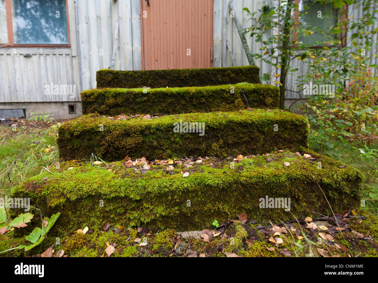 Stair step moss hi-res stock photography and images - Alamy