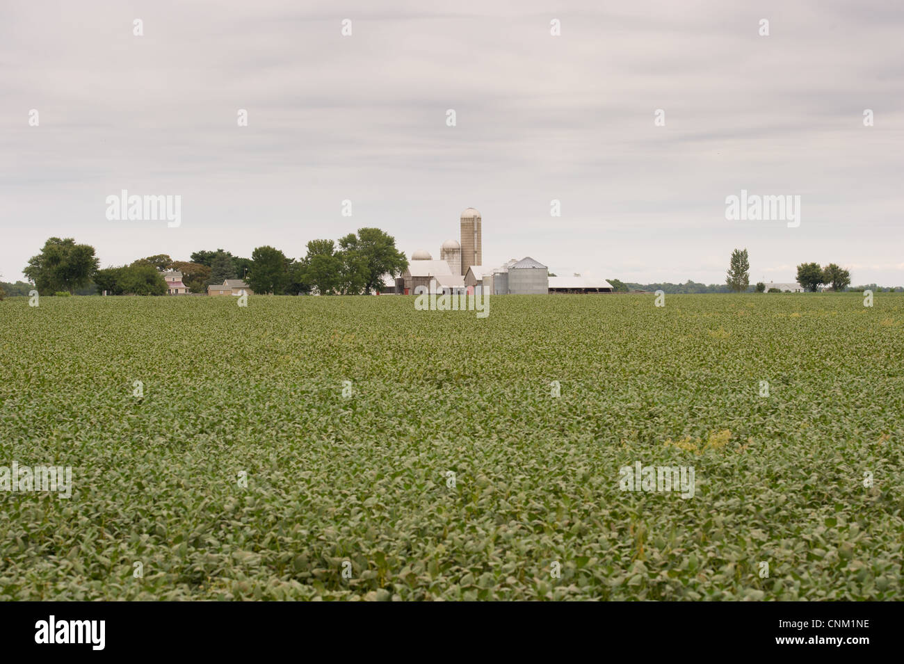 Farm with field hi-res stock photography and images - Alamy