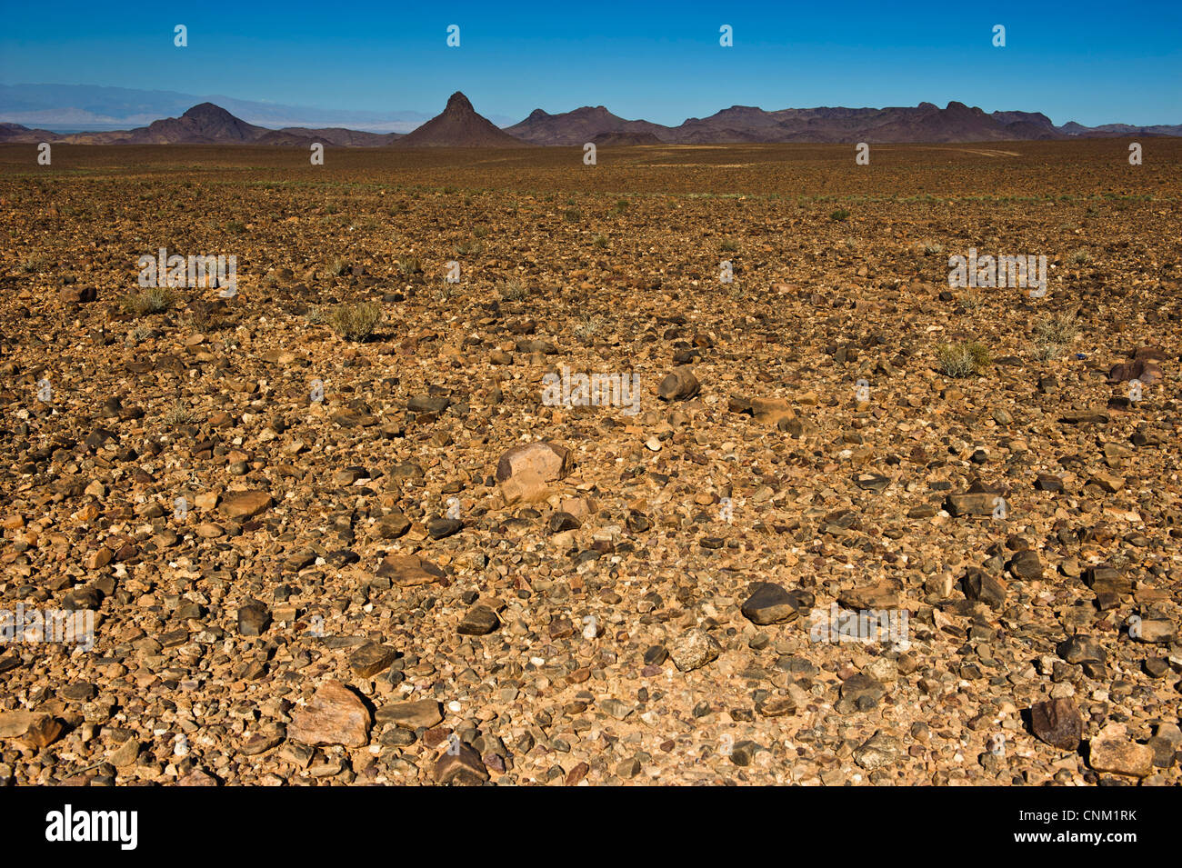 Desertic landscape in the Draa Valley region, Morocco Stock Photo - Alamy