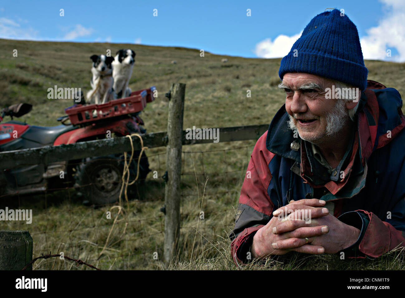 Elderly shepherd hi-res stock photography and images - Alamy