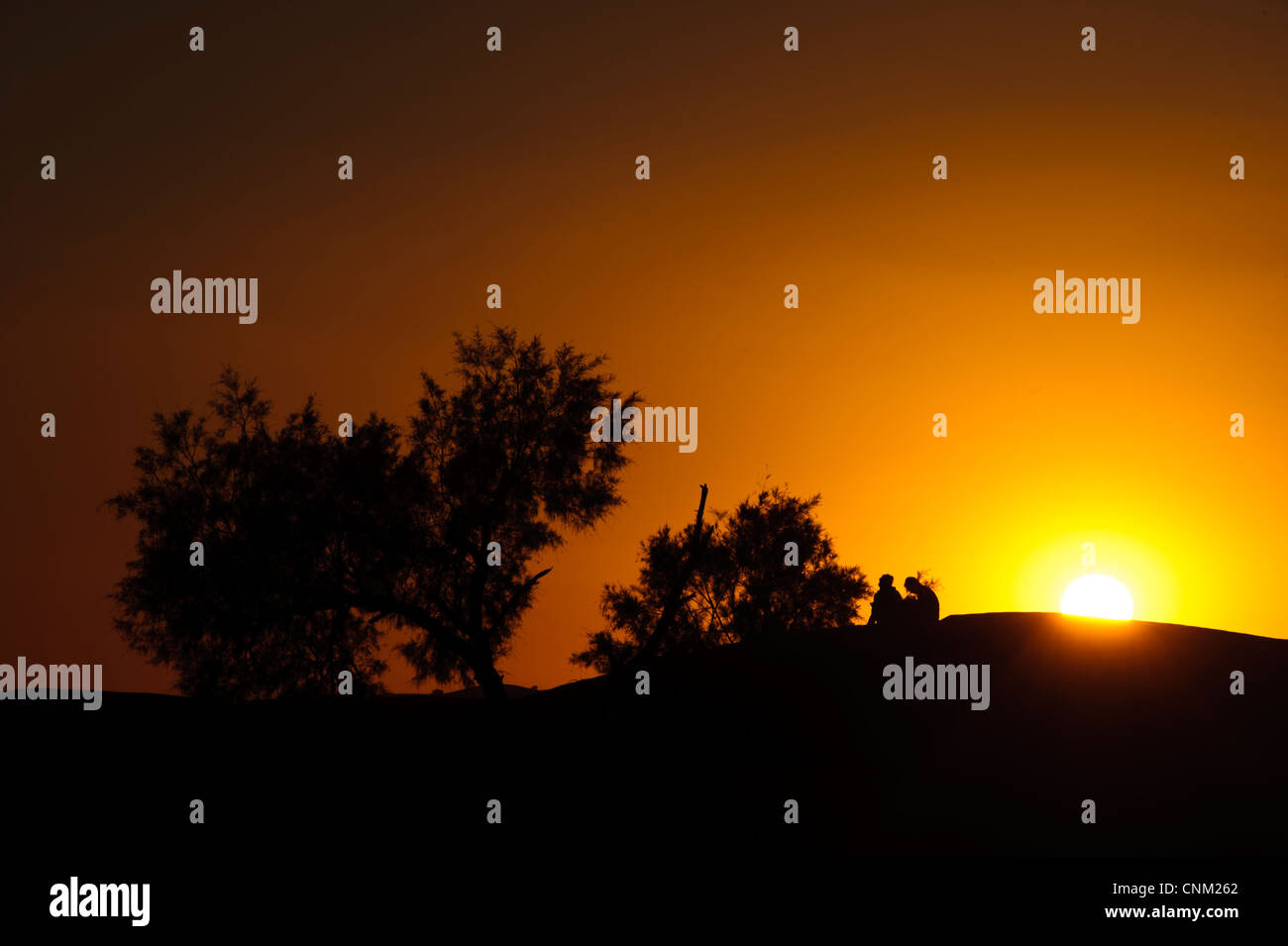 Silhouette of trees in a desert hi-res stock photography and images - Alamy