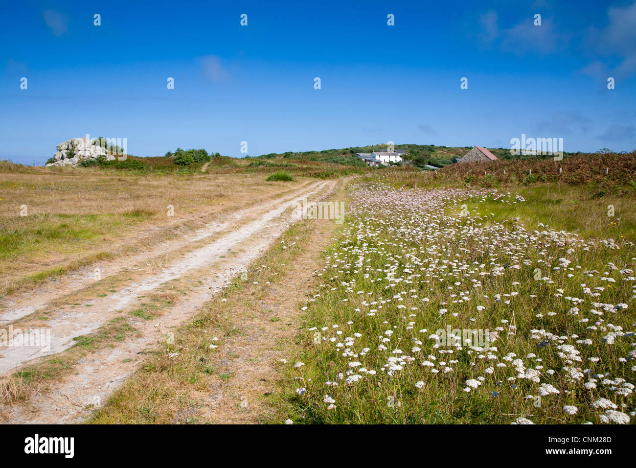 Bryher; Isles of Scilly; track on the island Stock Photo - Alamy