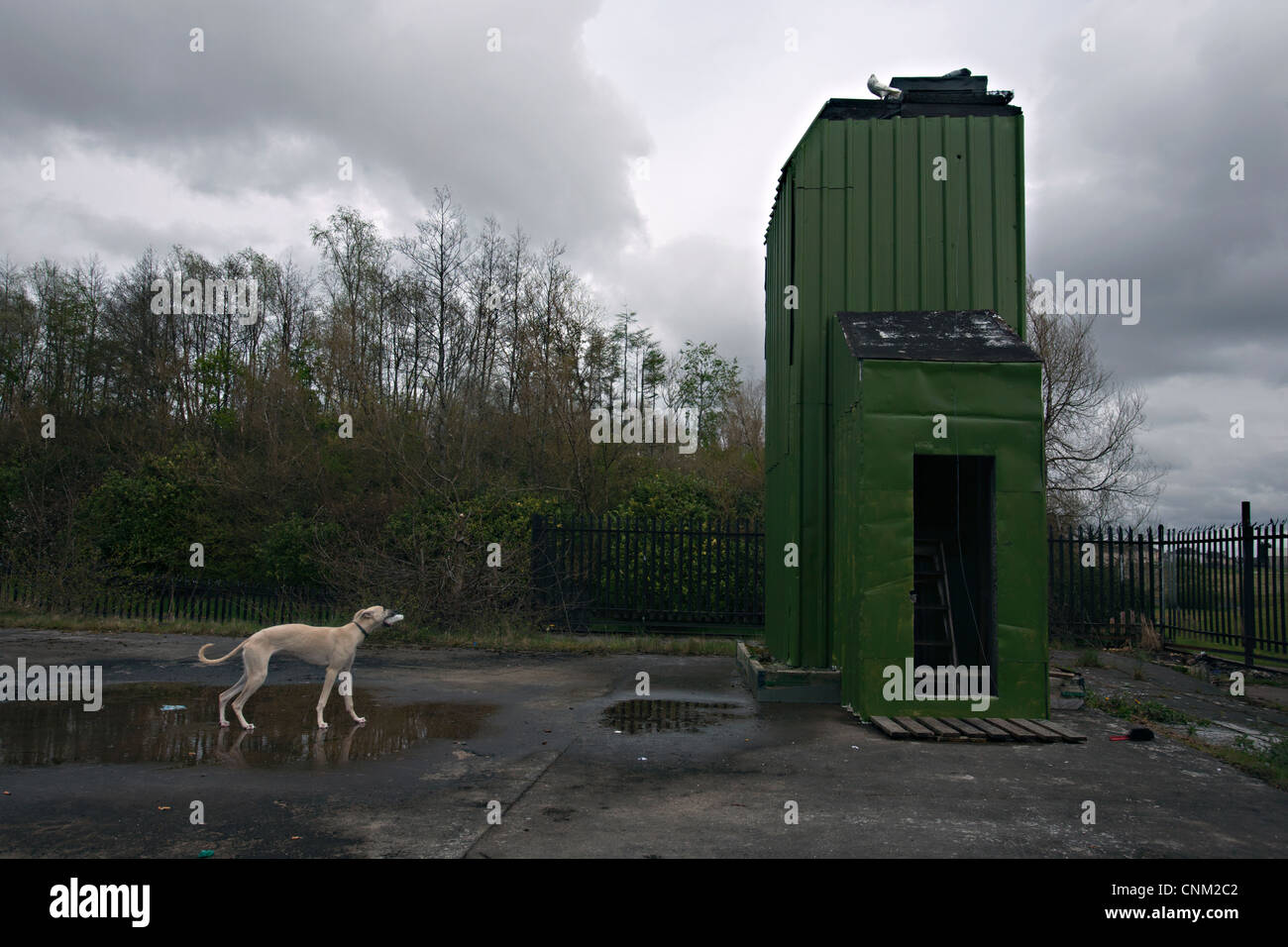 Dookit hi-res stock photography and images - Alamy