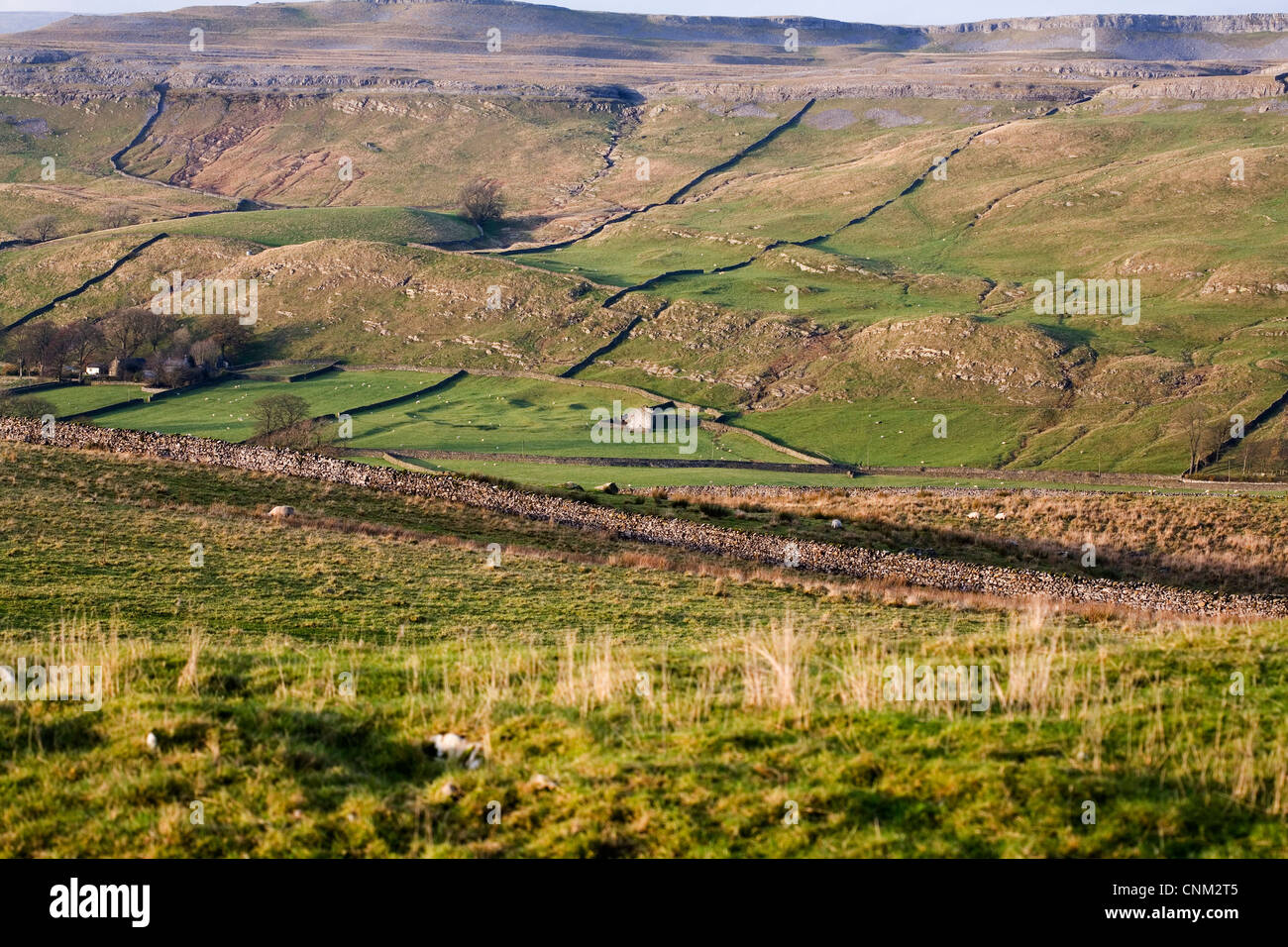 Long Scar and Crummack Dale Austwick Yorkshire Dales England Stock ...