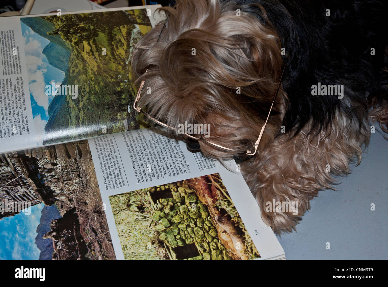 Reading aid hi-res stock photography and images - Alamy