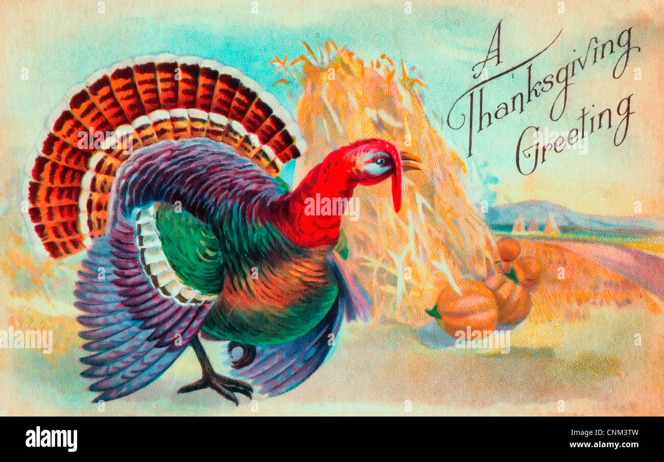 A Thanksgiving Greeting - A turkey in the field with a pumpkins and hay ...