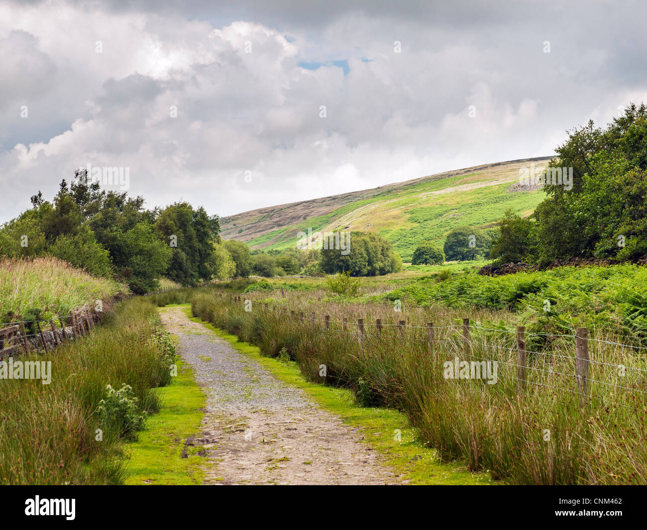 Empty pathway leading through countryside Stock Photo - Alamy