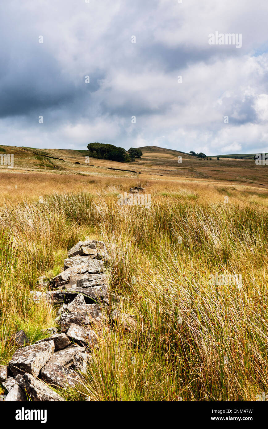 Rugged moorland and old drystone wall Stock Photo - Alamy