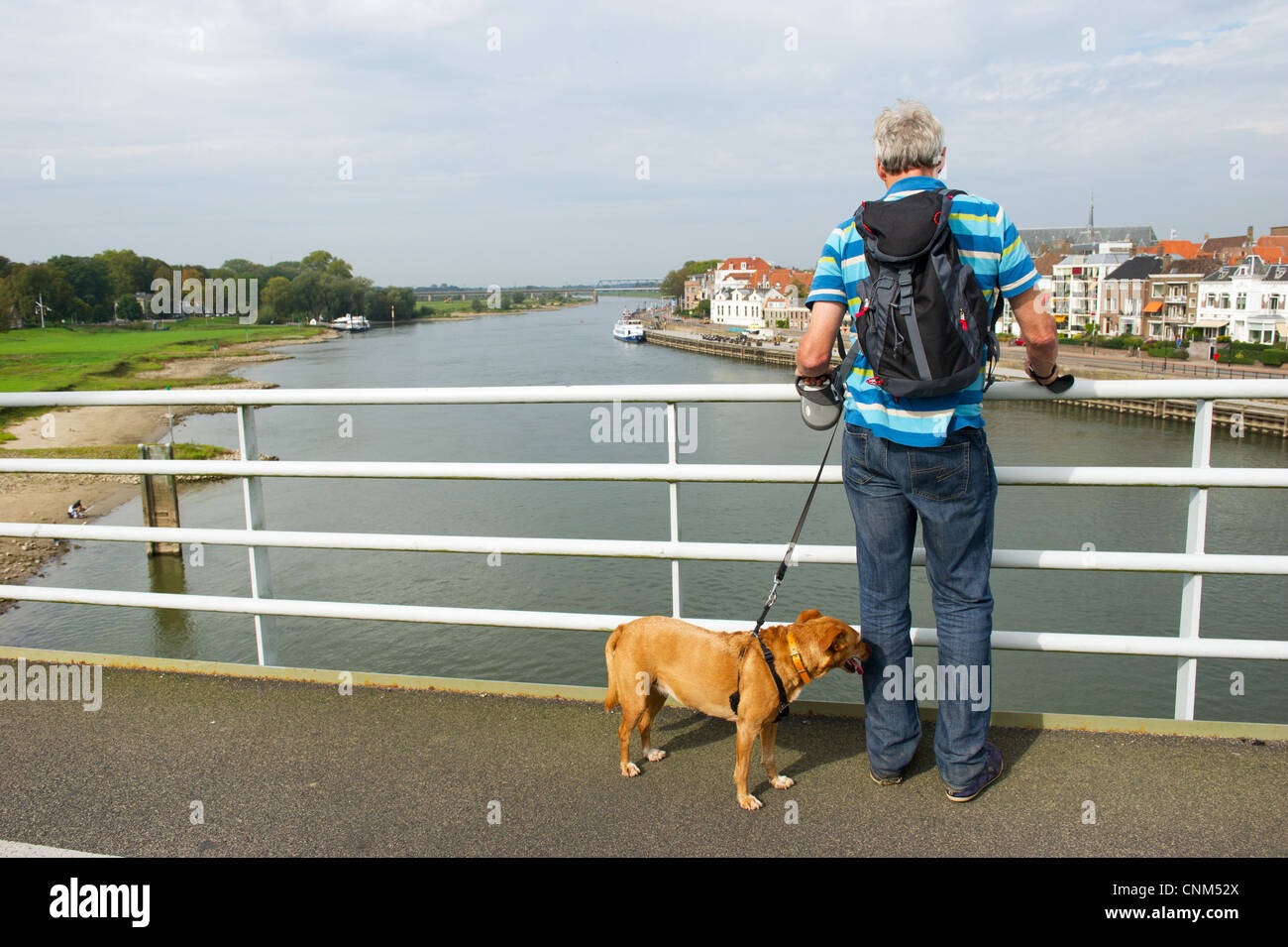 Dog looking over bridge hi-res stock photography and images - Alamy
