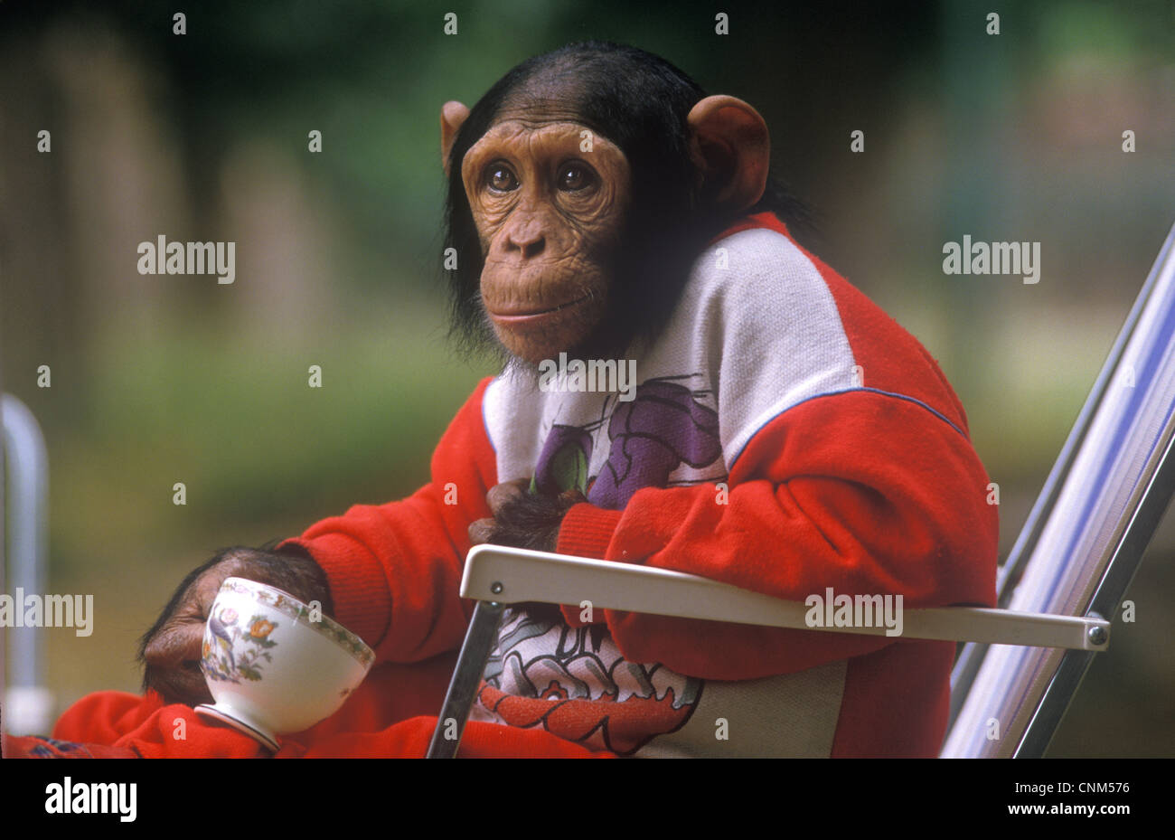 1980s Advertising Archive Stock Photos & 1980s Advertising Archive ...