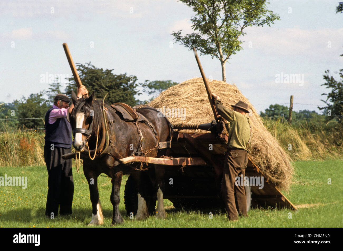 Saving the hay hi-res stock photography and images - Alamy