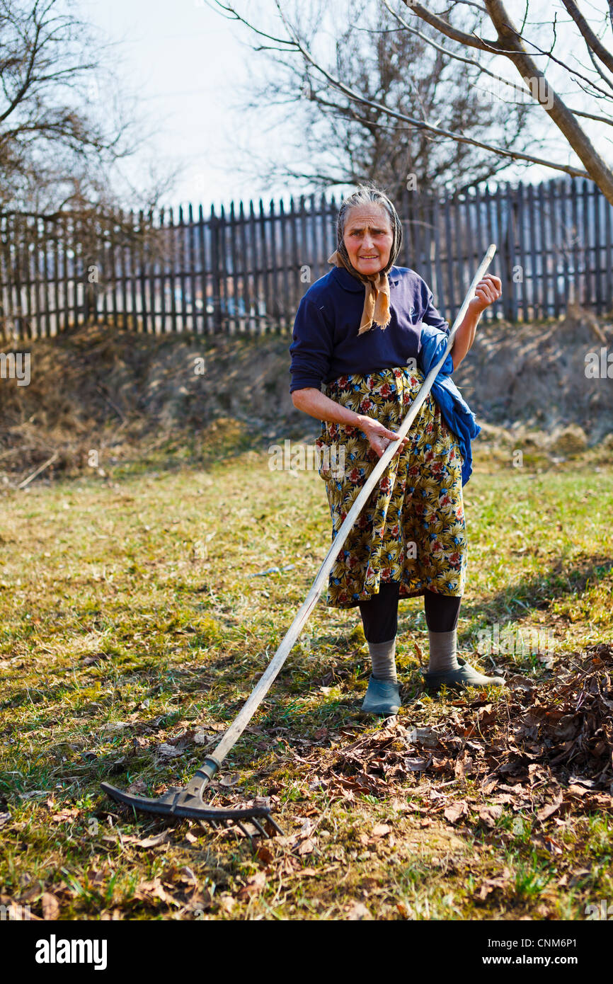Old farm woman spring cleaning with a rake in a walnut orchard Stock ...