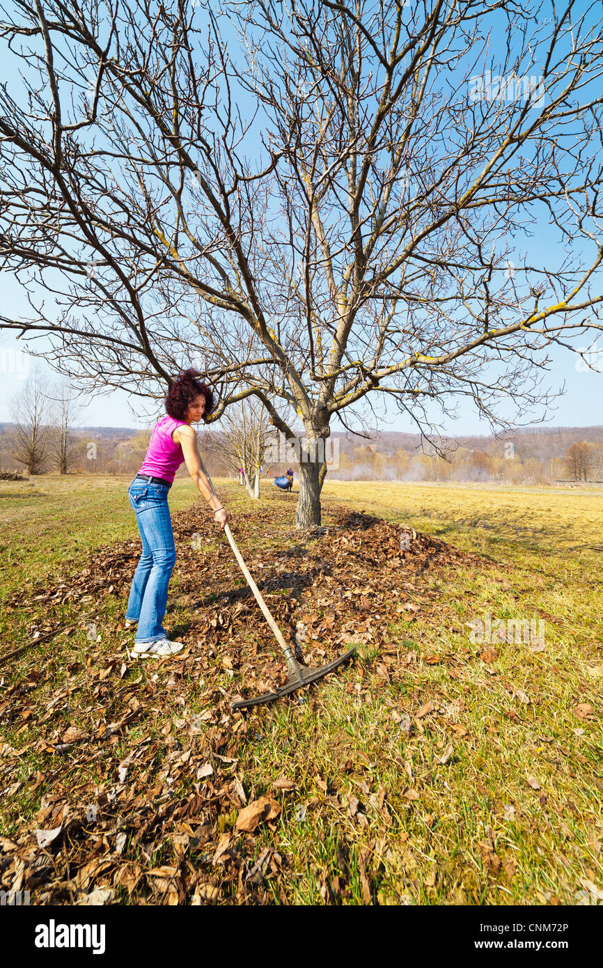 Young woman with a rake spring cleaning in a walnut orchard Stock Photo ...