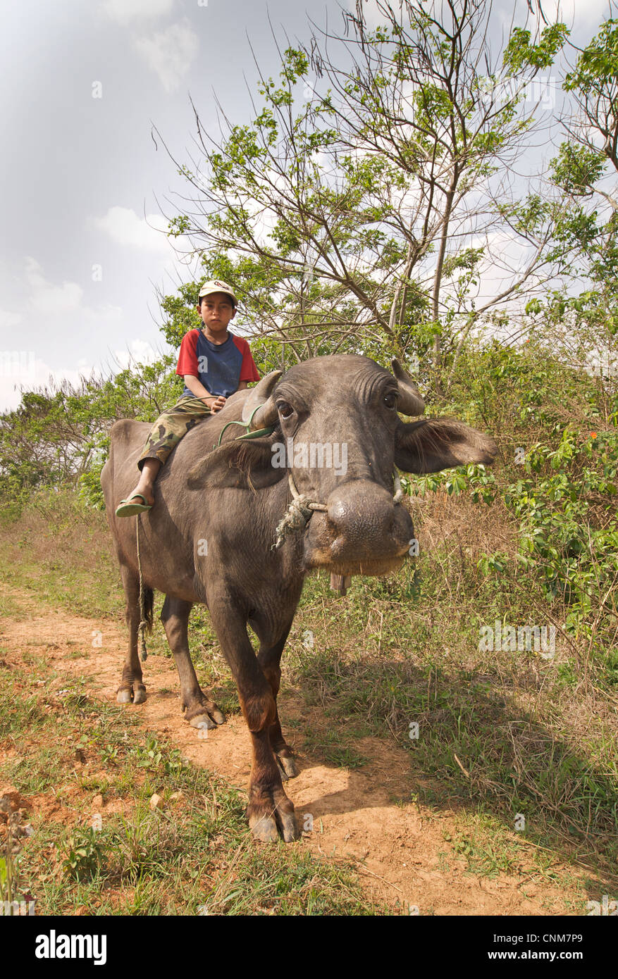 Burma11762 hi-res stock photography and images - Alamy