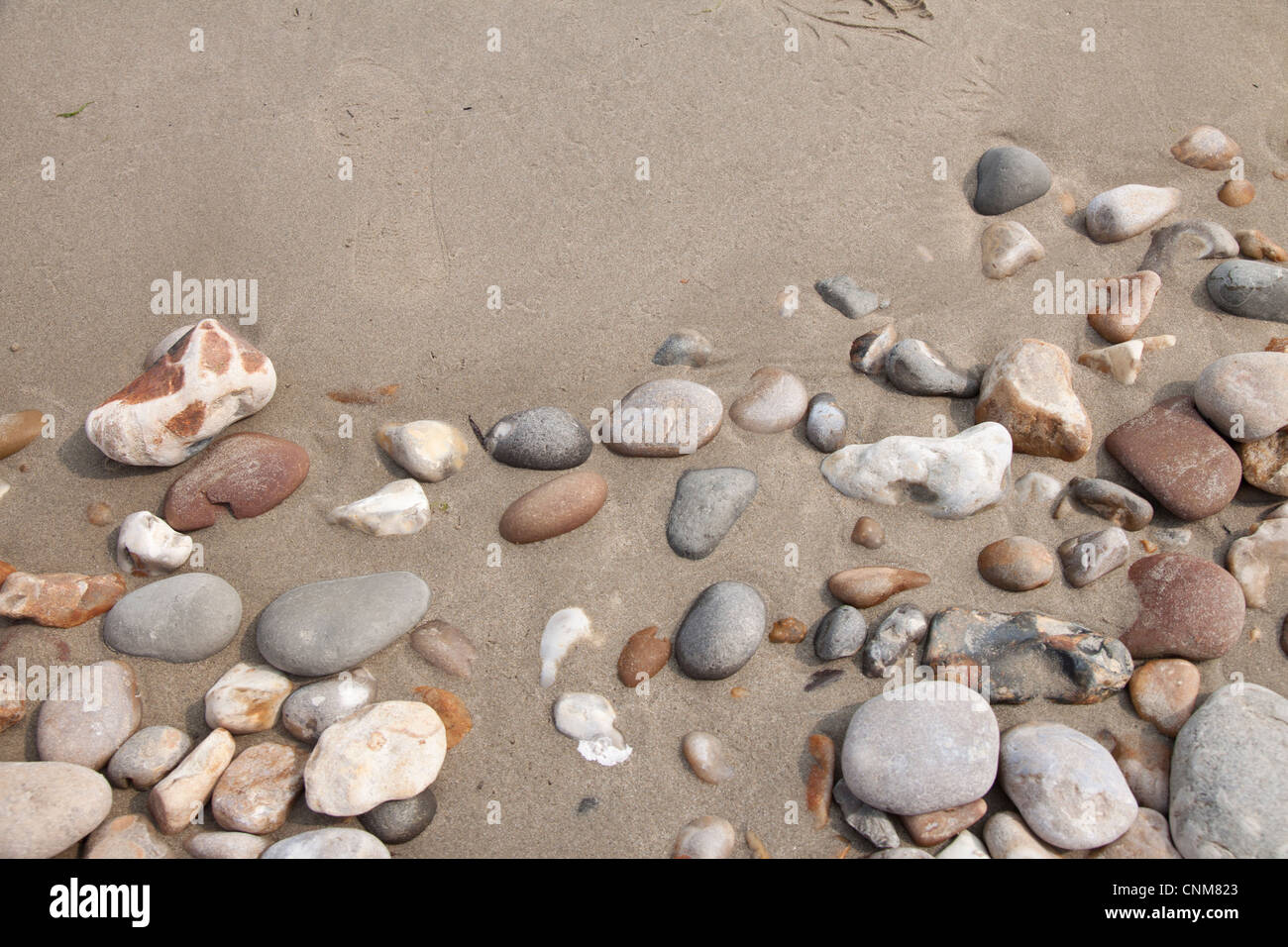 Shingle beach pebbles on sandy beach in England Stock Photo - Alamy