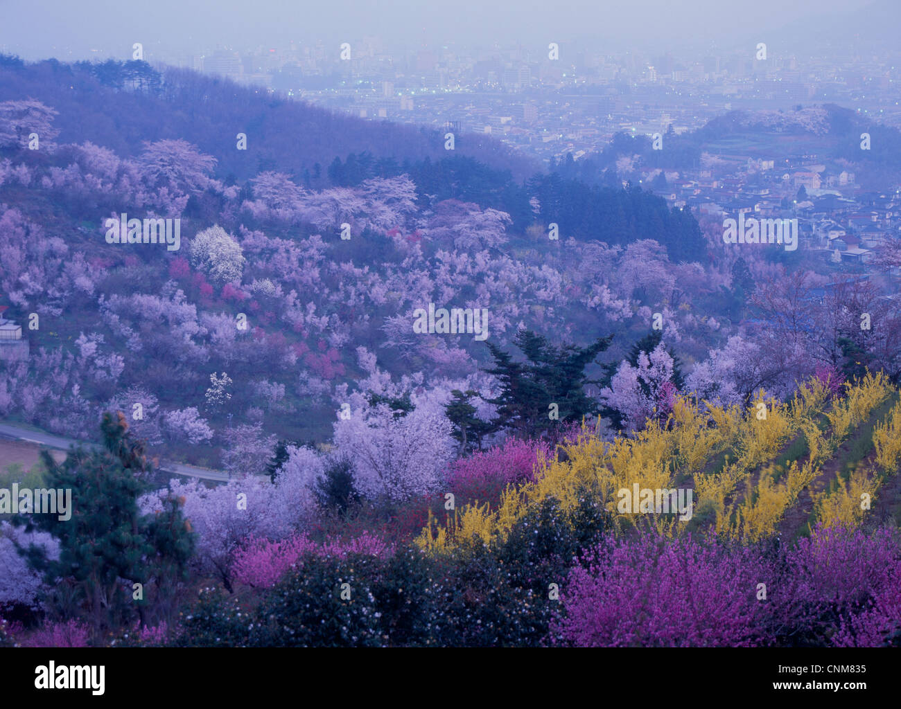 Dawn of Mount Hanami, Fukushima, Fukushima, Japan Stock Photo - Alamy