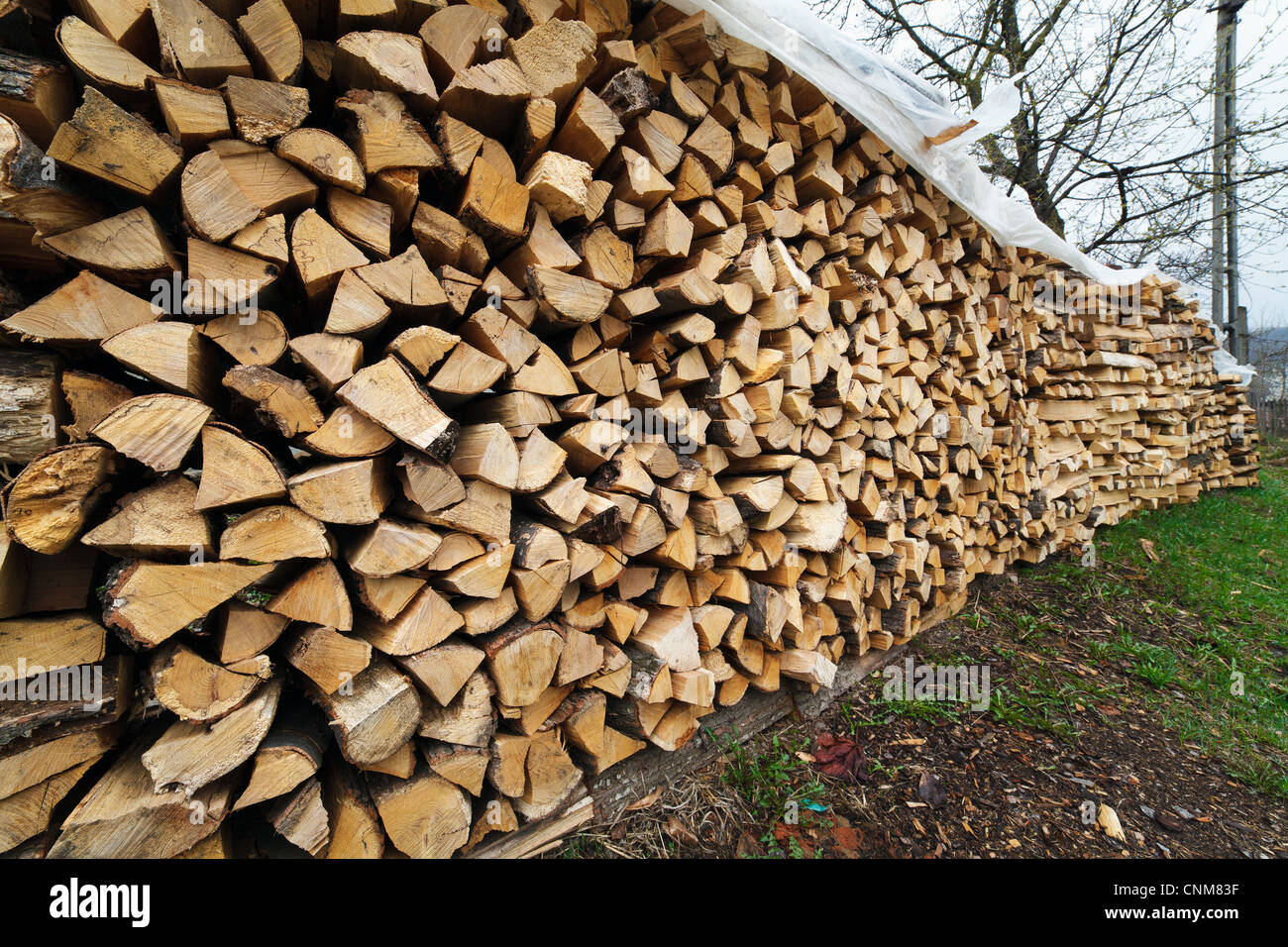 Stacked chopped wood for the winter or construction Stock Photo - Alamy