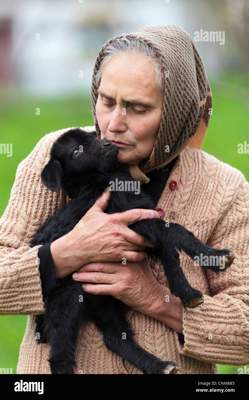 Closeup portrait of a senior woman holding a baby goat outdoor Stock ...