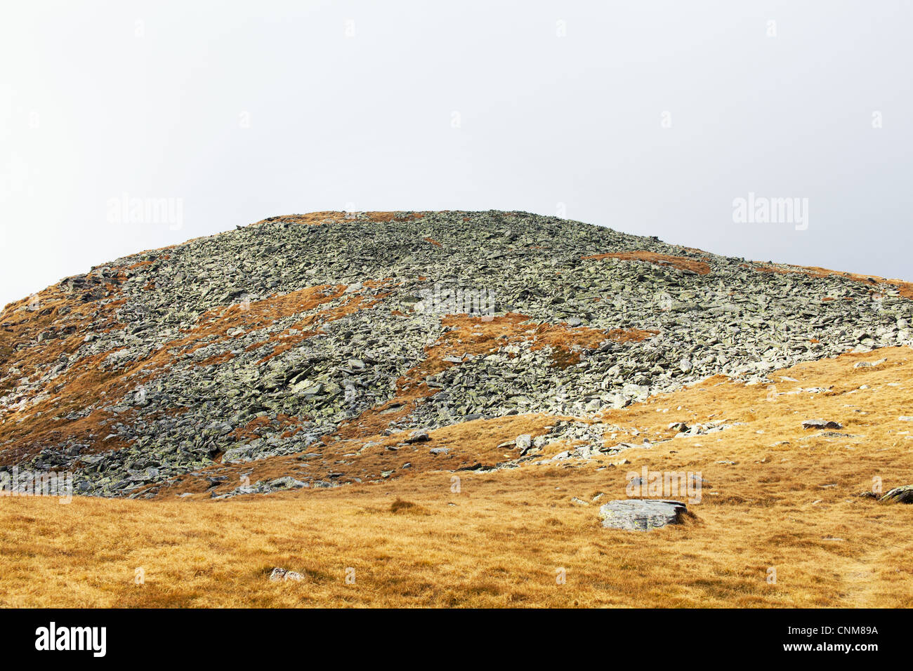 Landscape with scree and grass on a mountain Stock Photo - Alamy