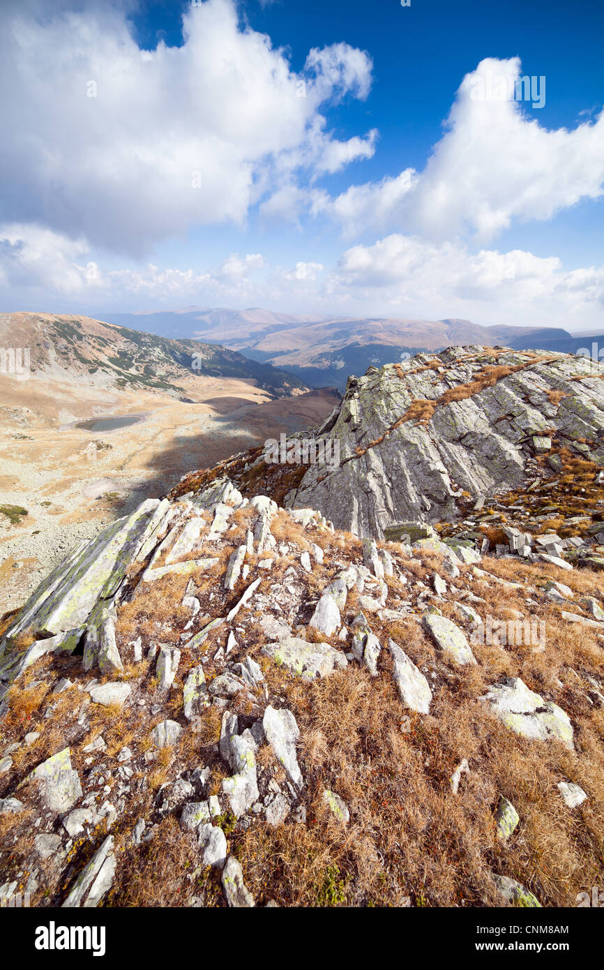 Landscape with scree and grass on a mountain Stock Photo - Alamy