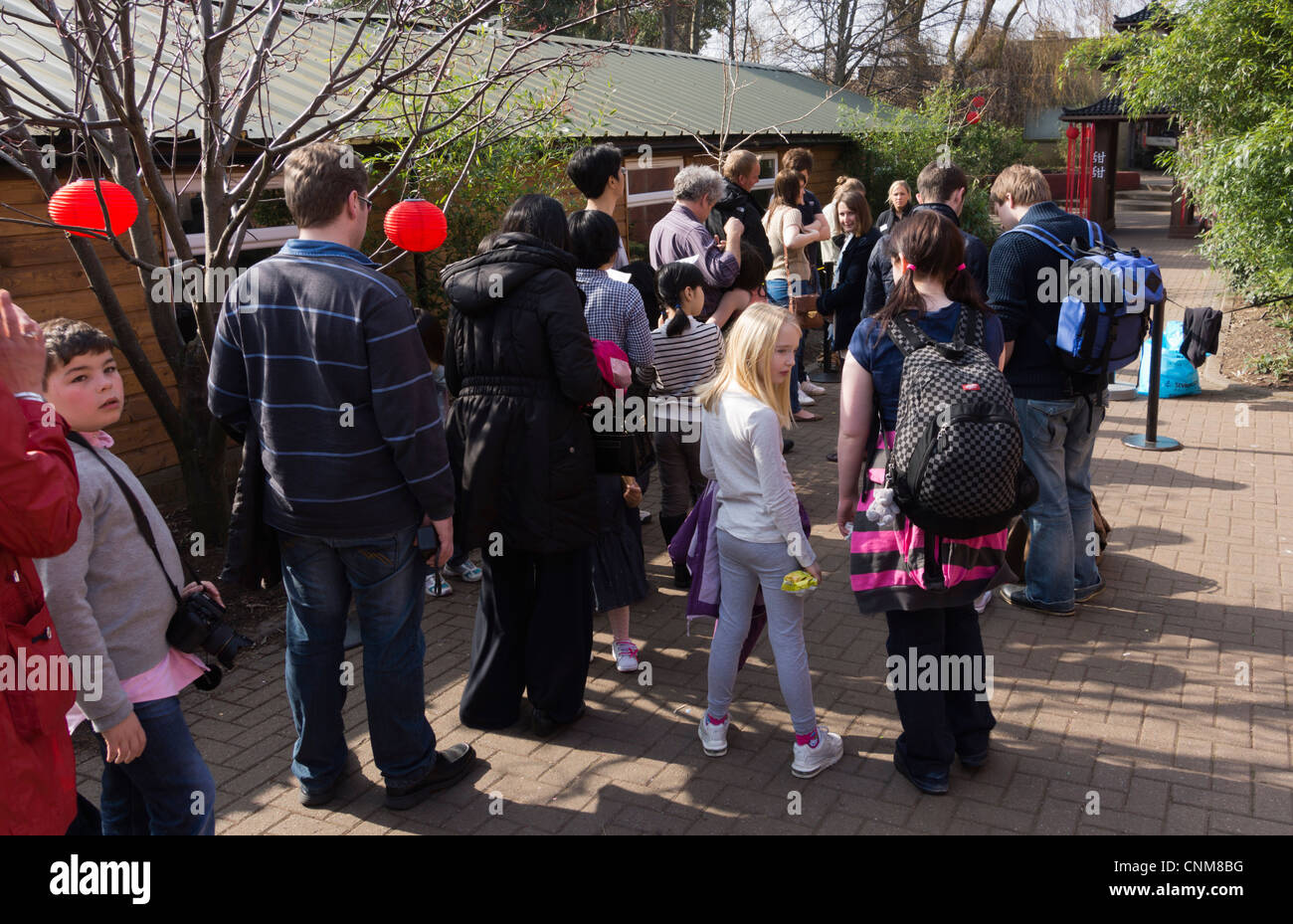Queue in line for Giant Panda viewing at Edinburgh Zoo Scotland Stock ...