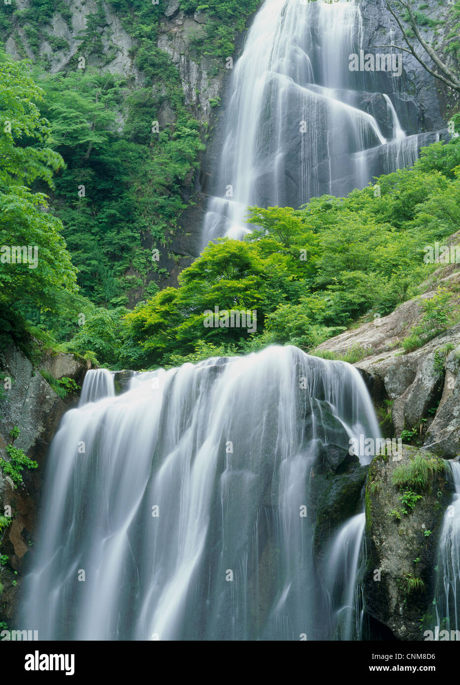 Yasunotaki Waterfall, Kitaakita, Akita, Japan Stock Photo - Alamy