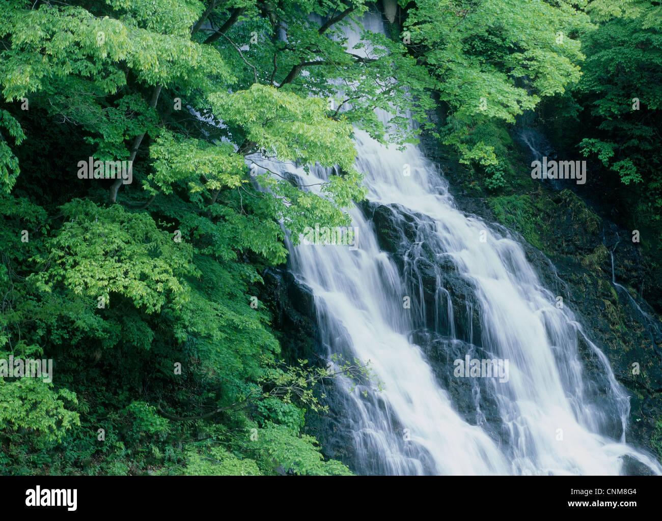 Semi Gorge, Mogami, Mogami, Japan Stock Photo - Alamy