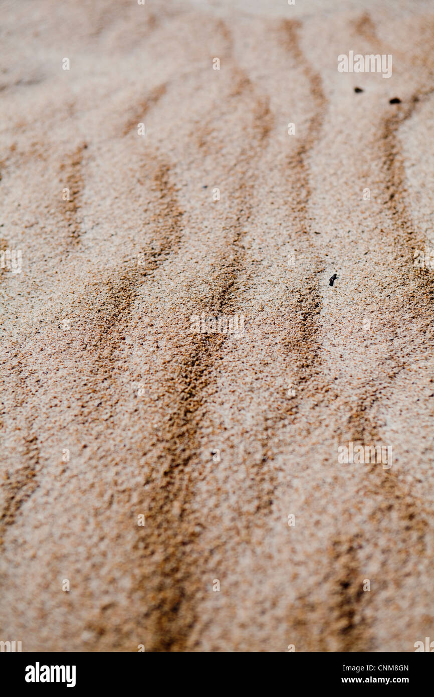 Ripples of sand on a beach Stock Photo - Alamy